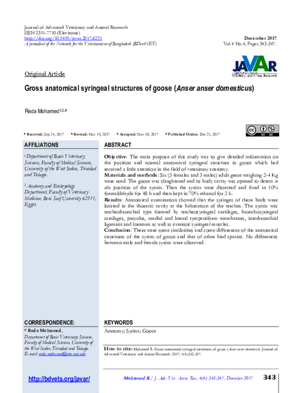 (PDF) Gross anatomical syringeal structures of goose (Anser anser ...