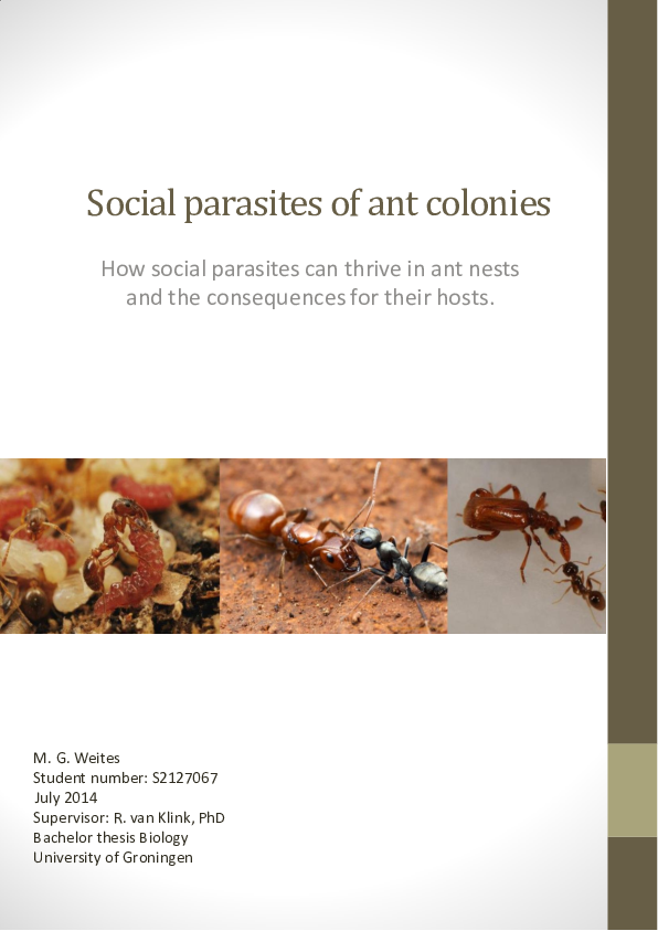 (PDF) Social parasites of ant colonies