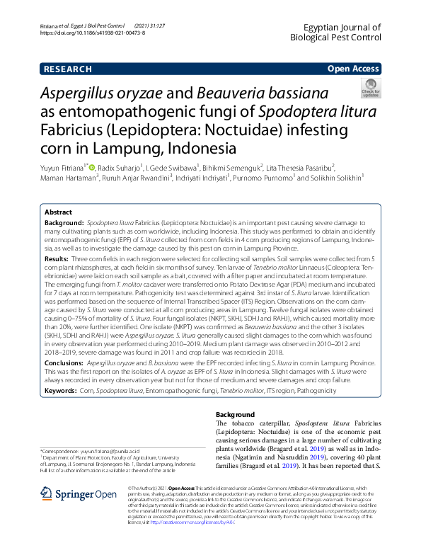 (PDF) Aspergillus oryzae and Beauveria bassiana as entomopathogenic fungi of Spodoptera litura ...
