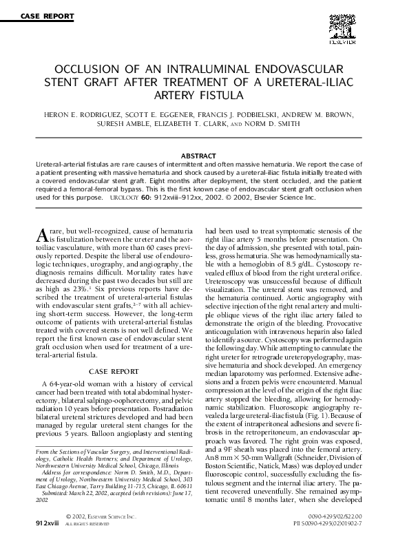 (PDF) Occlusion of an intraluminal endovascular stent graft after ...