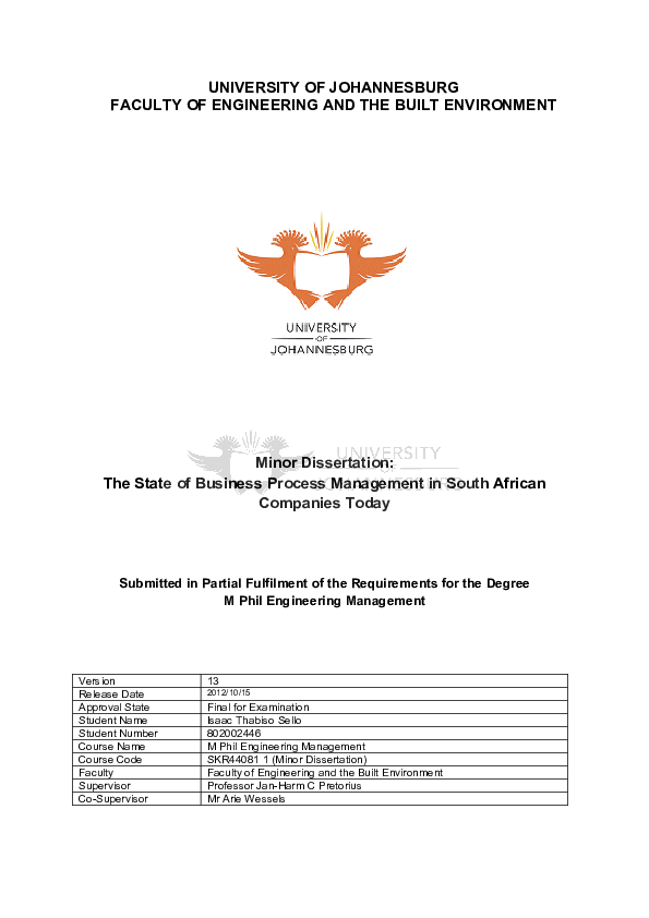 (PDF) The state of business process management in South African ...
