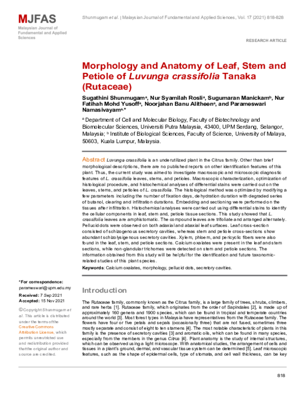 (PDF) Morphology and Anatomy of Leaf, Stem and Petiole of Luvunga ...