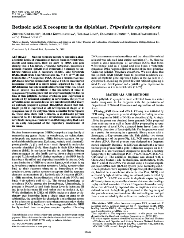 (PDF) Retinoic acid X receptor in the diploblast, Tripedalia cystophora