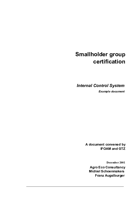 (PDF) Internal Control System example document