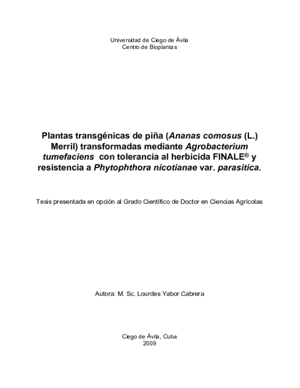 (PDF) Plantas trasgénicas de piña (Ananas comous (L.)Merril ...