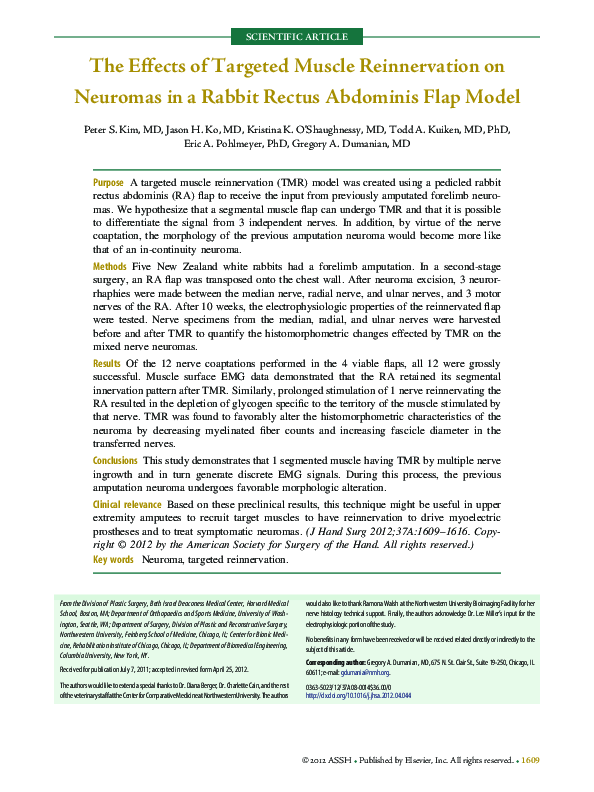(PDF) The Effects of Targeted Muscle Reinnervation on Neuromas in a ...