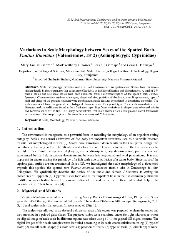 (PDF) Variations in Scale Morphology between Sexes of the Spotted Barb ...
