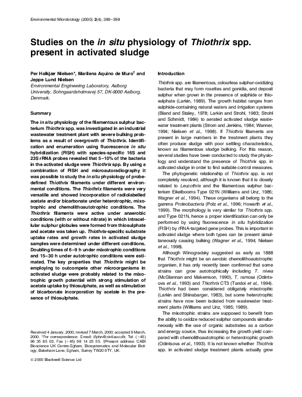 (PDF) Studies on the in situ physiology of Thiothrix spp. present in ...