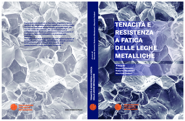 (PDF) Tenacità e resistenza a fatica delle leghe metalliche (ENG ...