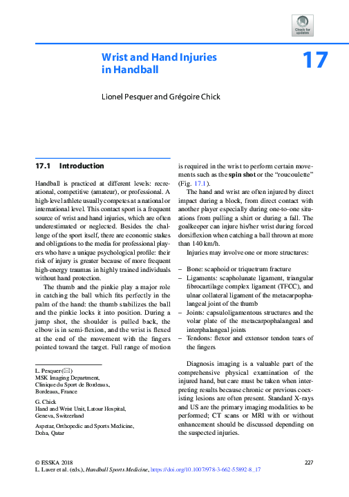 (PDF) Wrist and Hand Injuries in Handball