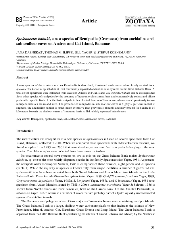 (PDF) Speleonectes kakuki, a new species of Remipedia (Crustacea) from ...