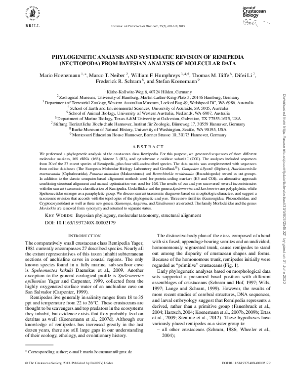 (PDF) Phylogenetic analysis and systematic revision of Remipedia ...