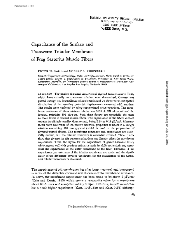 (PDF) Capacitance of the Surface and Transverse Tubular Membrane of ...