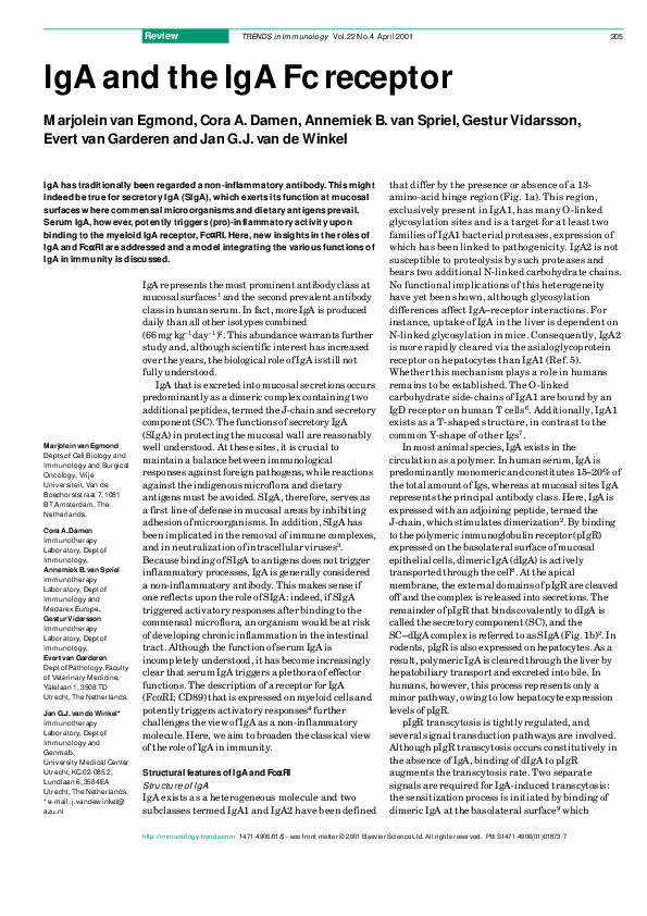 (PDF) IgA and the IgA Fc receptor