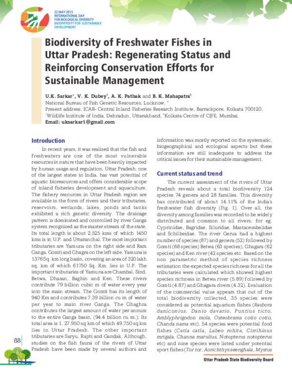 (PDF) Biodiversity of Freshwater Fishes in Uttar Pradesh: Regarding ...