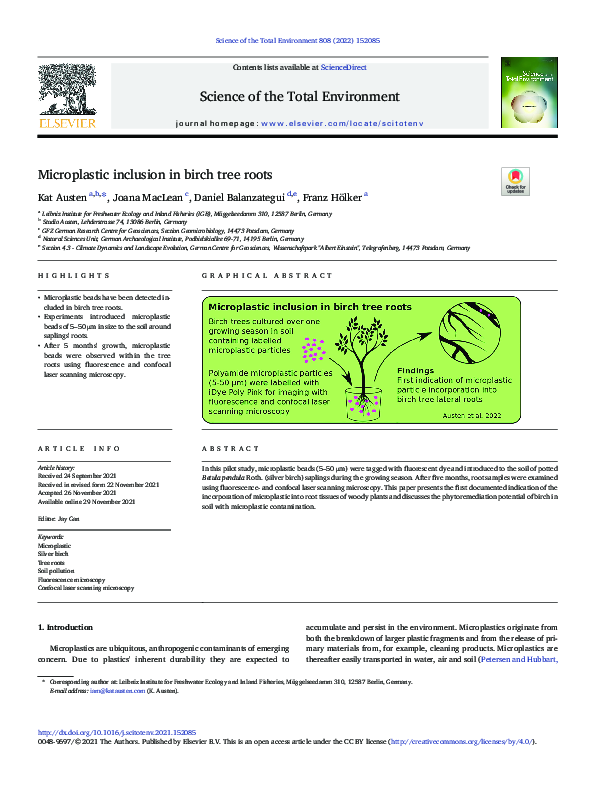 (PDF) Microplastic inclusion in birch tree roots