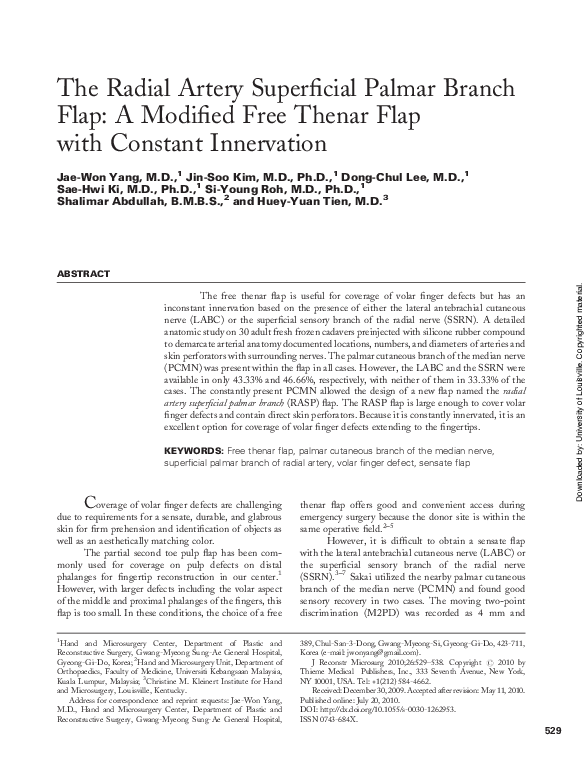(PDF) The radial artery superficial palmar branch flap: a modified free ...