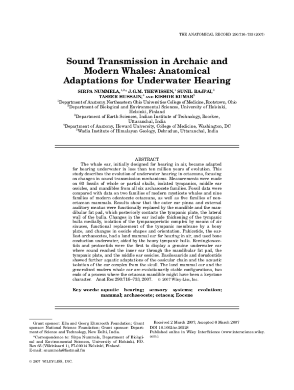 (PDF) Sound transmission in archaic and modern whales: Anatomical ...