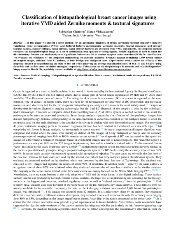 (PDF) Automated Breast Cancer Image Classification