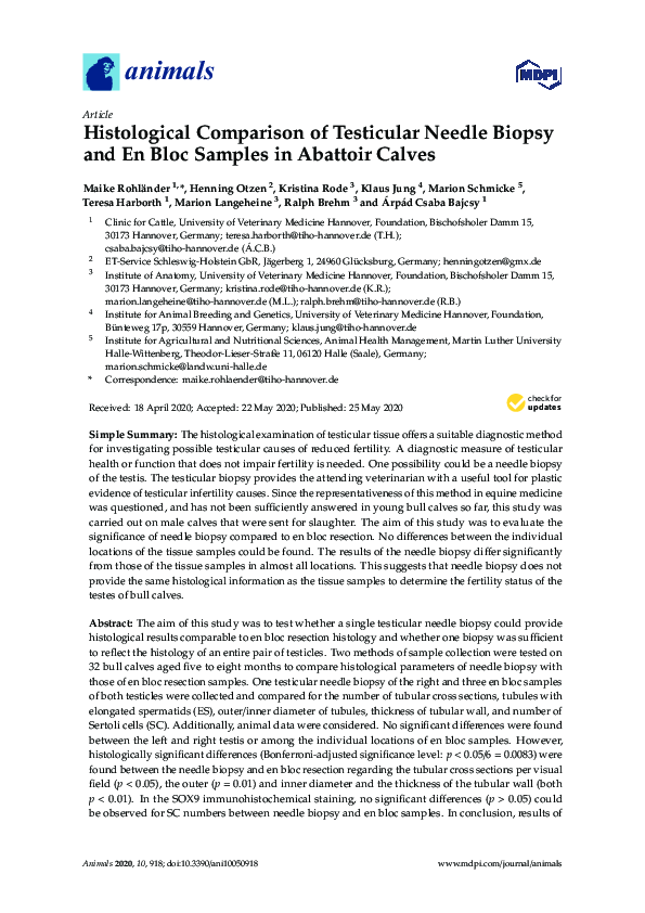 (PDF) Histological Comparison of Testicular Needle Biopsy and En Bloc ...