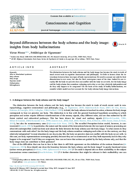 (PDF) Beyond differences between the body schema and the body image ...