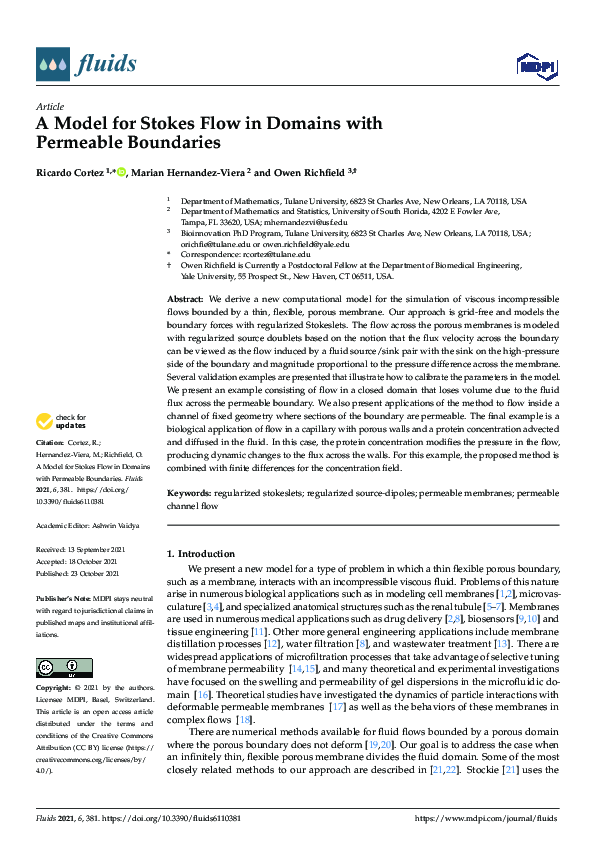 (PDF) A Model for Stokes Flow in Domains with Permeable Boundaries