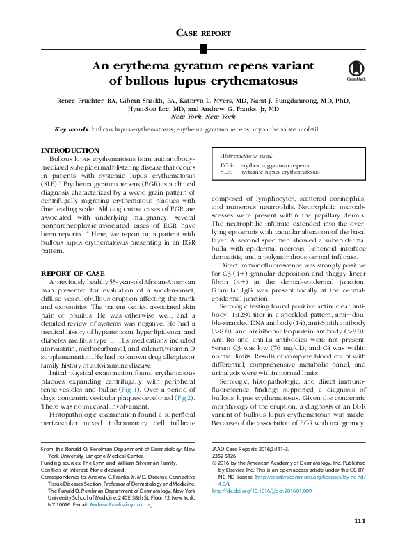 (PDF) An erythema gyratum repens variant of bullous lupus erythematosus