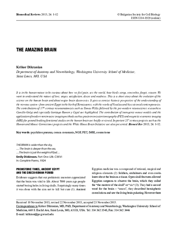 (PDF) The amazing brain