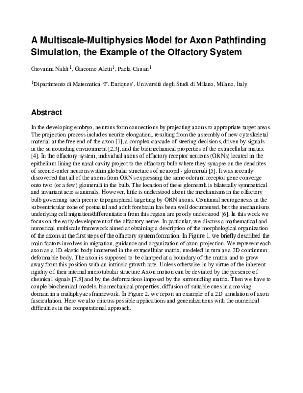 (PDF) A Multiscale-Multiphysics Model for Axon Pathfinding Simulation ...