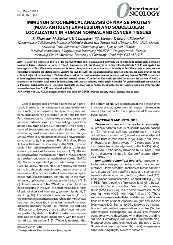 (PDF) Immunohistochemical analysis of NaPi2b protein (MX35 antigen ...