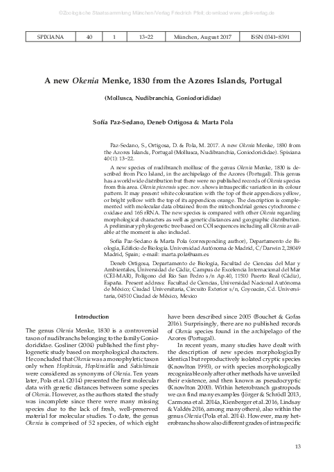 (PDF) A new Okenia Menke, 1830 from the Azores Islands, Portugal ...