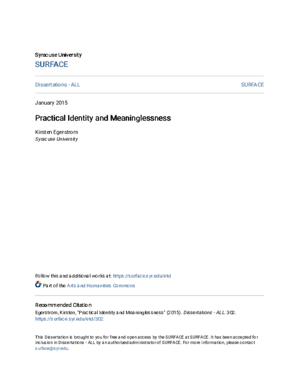 (PDF) Practical Identity and Meaninglessness