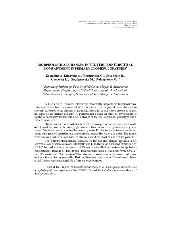 (PDF) Morphological changes in the tubulointerstitial compartment in ...