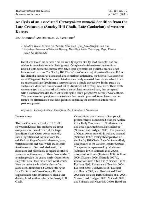(PDF) Analysis of an Associated Cretoxyrhina mantelli Dentition from ...