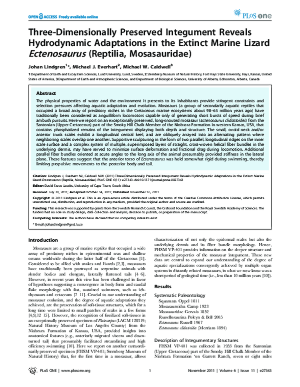 (PDF) Three-Dimensionally Preserved Integument Reveals Hydrodynamic ...