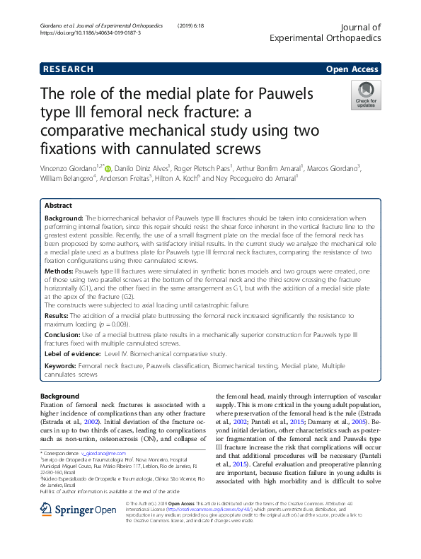 (PDF) The role of the medial plate for Pauwels type III femoral neck ...