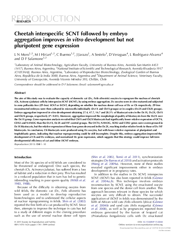 (PDF) Cheetah Embryo aggregation in interspecific SCNT improves ...