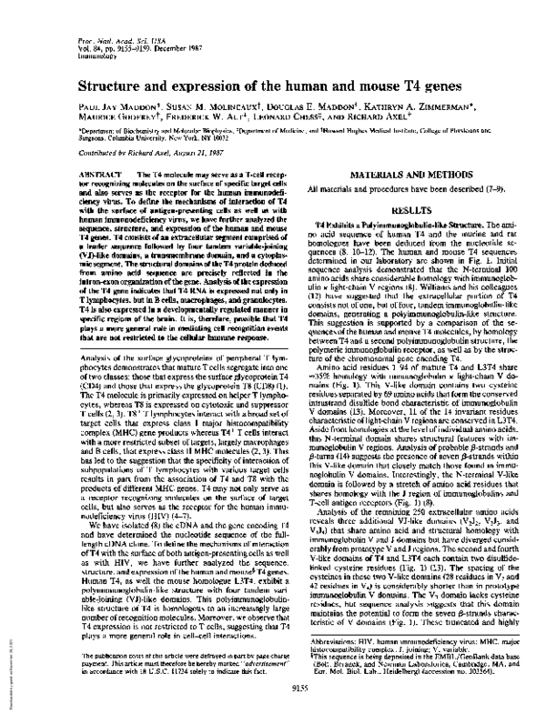(PDF) Structure and expression of the human and mouse T4 genes