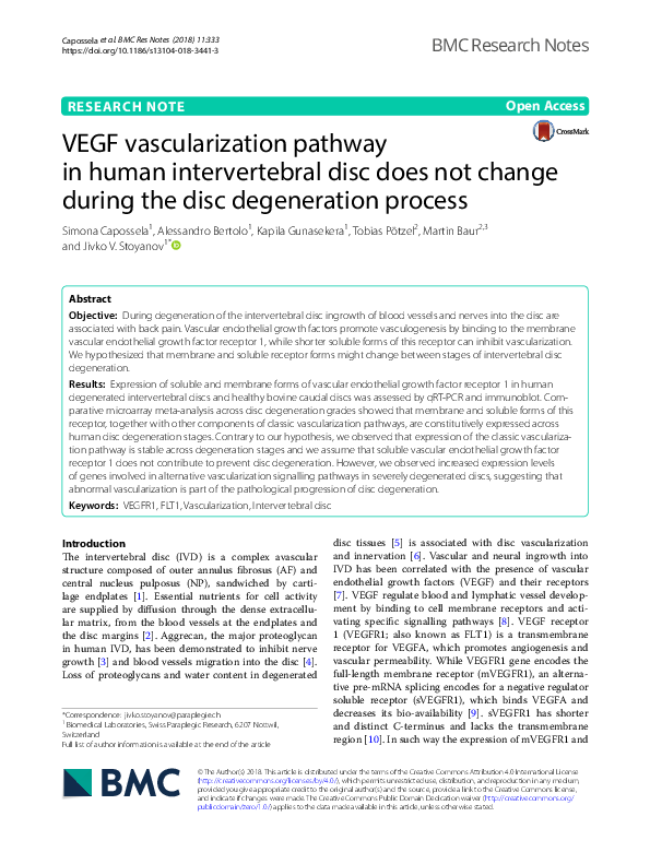 (PDF) VEGF vascularization pathway in human intervertebral disc does ...