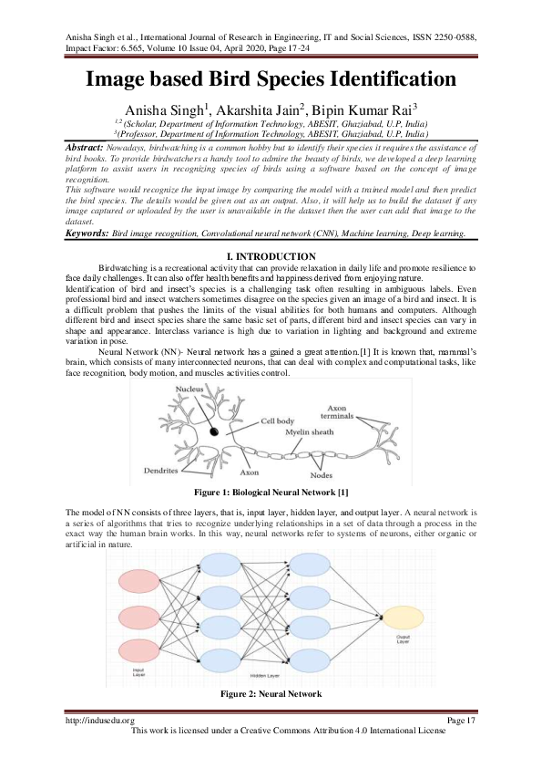 (PDF) Image based Bird Species Identification