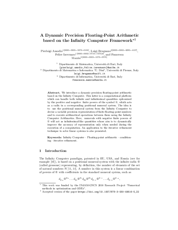 (PDF) A Dynamic Precision Floating-Point Arithmetic Based on the Infinity Computer Framework