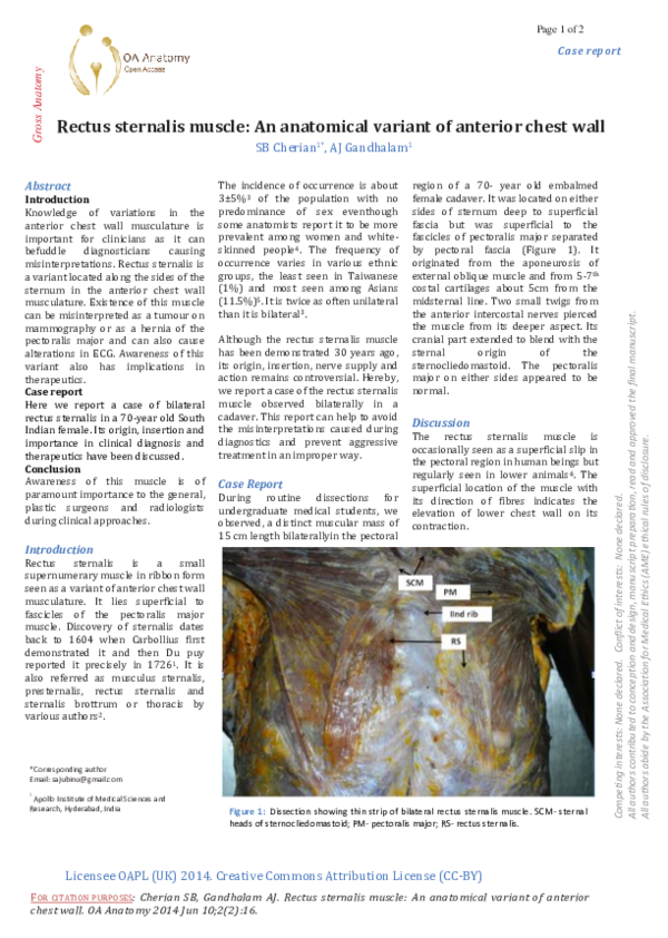 (PDF) Rectus sternalis muscle: An anatomical variant of anterior chest wall
