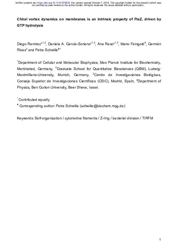 (PDF) Chiral vortex dynamics on membranes is an intrinsic property of ...