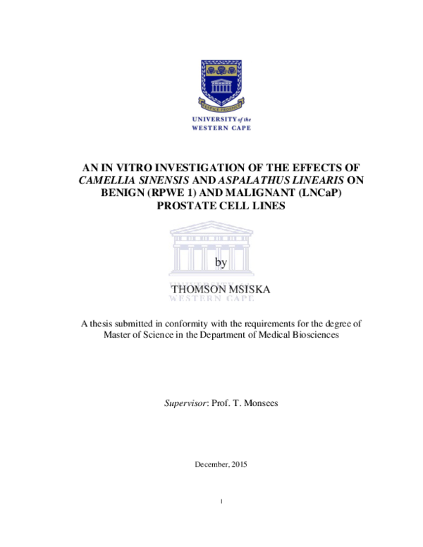 (PDF) An in vitro investigation of the effects of camellia sinensis and ...