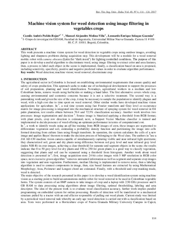 (PDF) Machine vision system for weed detection using image filtering in ...