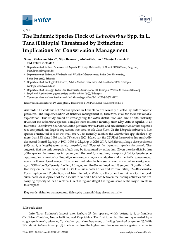 (PDF) The Endemic Species Flock of Labeobarbus Spp. in L. Tana ...
