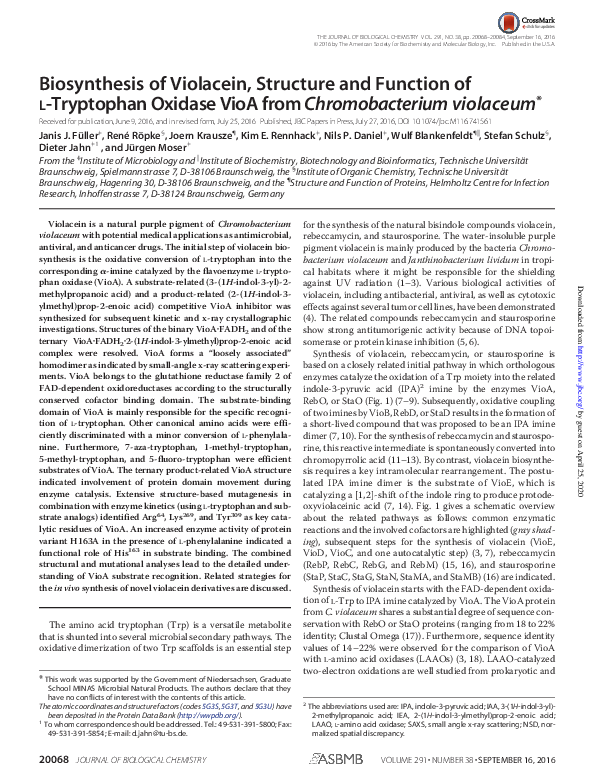 (PDF) Biosynthesis of Violacein: Structure and Function of L-Tryptophan ...
