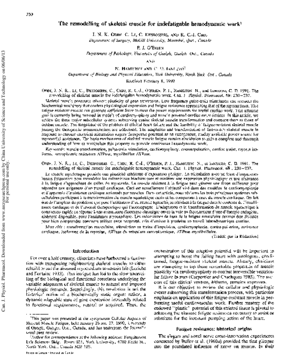 (PDF) The remodelling of skeletal muscle for indefatigable hemodynamic work