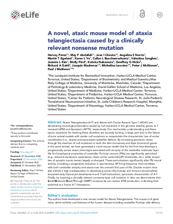 (PDF) A novel, ataxic mouse model of Ataxia Telangiectasia caused by a clinically relevant ...
