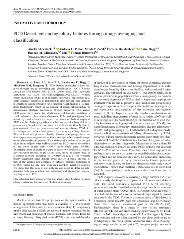 (PDF) PCD Detect: Enhancing ciliary features though image averaging and ...